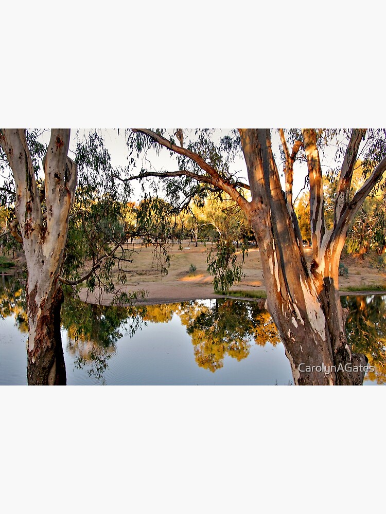 "Macquarie River, Dubbo" Art Print for Sale by CarolynAGates | Redbubble