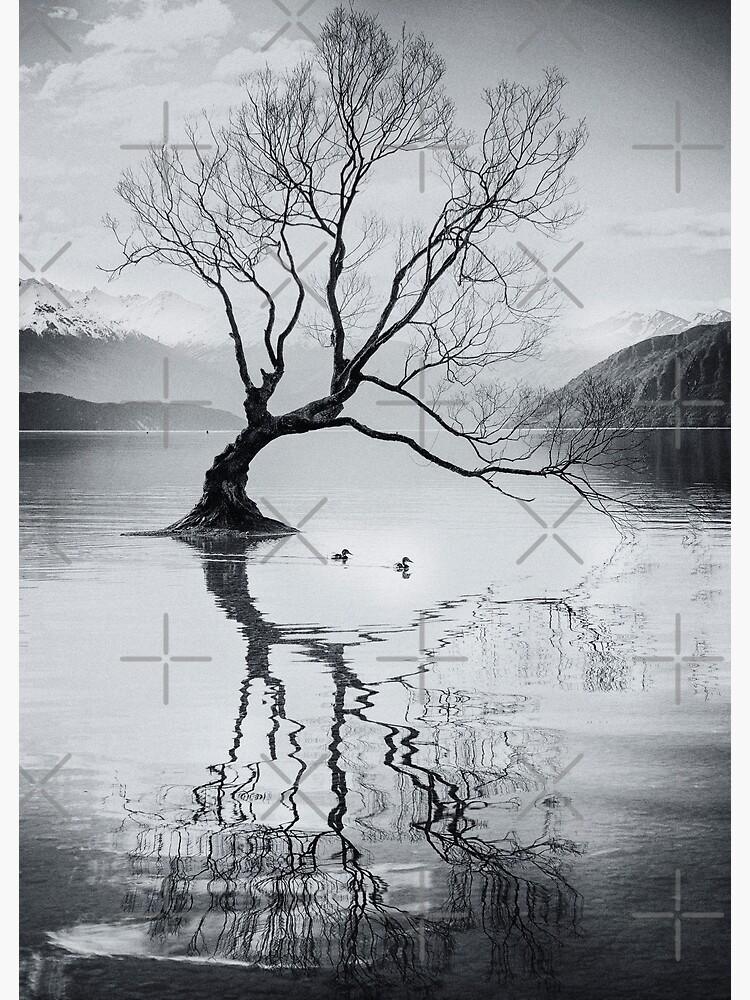 "That Wanaka Tree" Art Print for Sale by yolanda | Redbubble