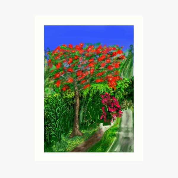 Flamboyant Tree Art Prints | Redbubble