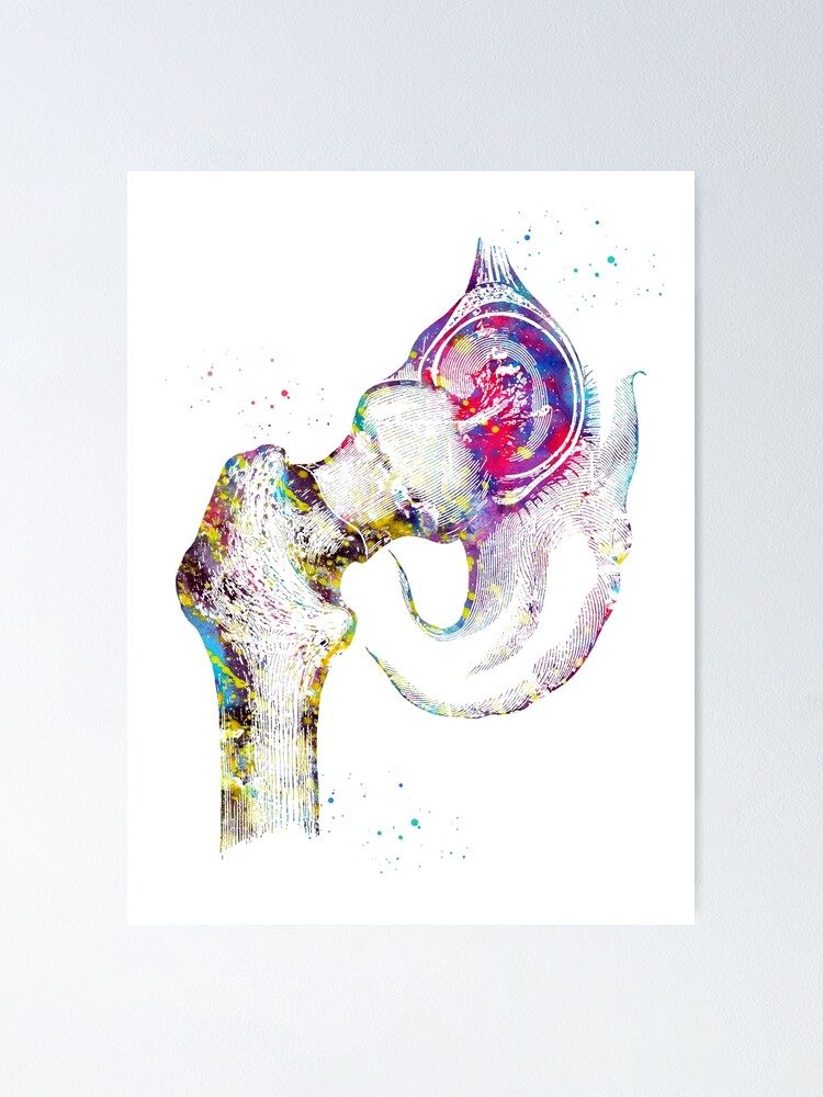 "Hip joint" Poster by erzebetth | Redbubble