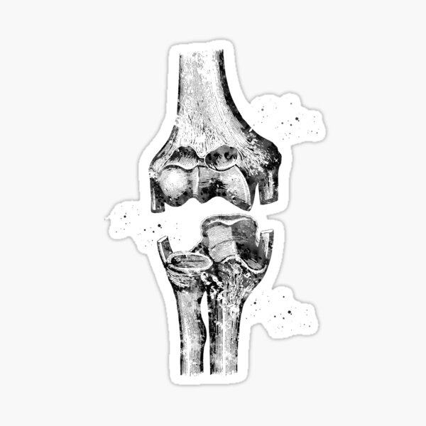 Tendons Gifts & Merchandise | Redbubble