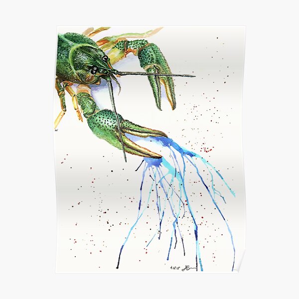 Crayfish Posters | Redbubble