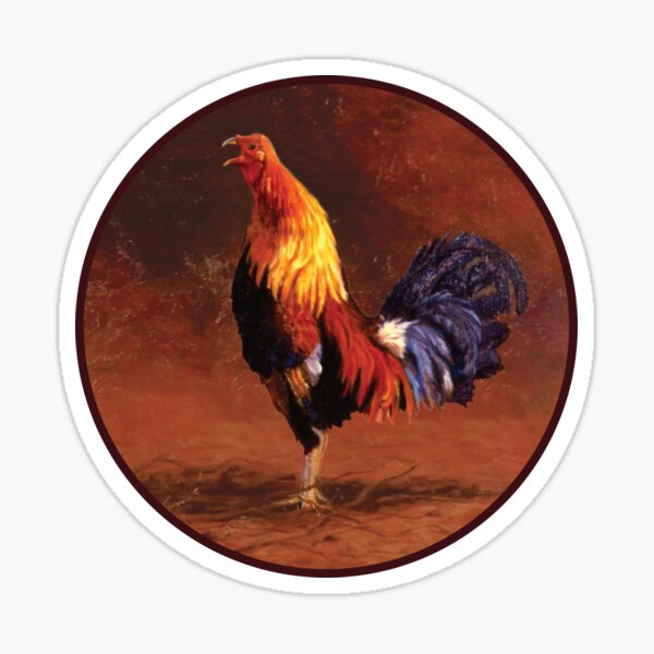 Rooster Fighting Memes
