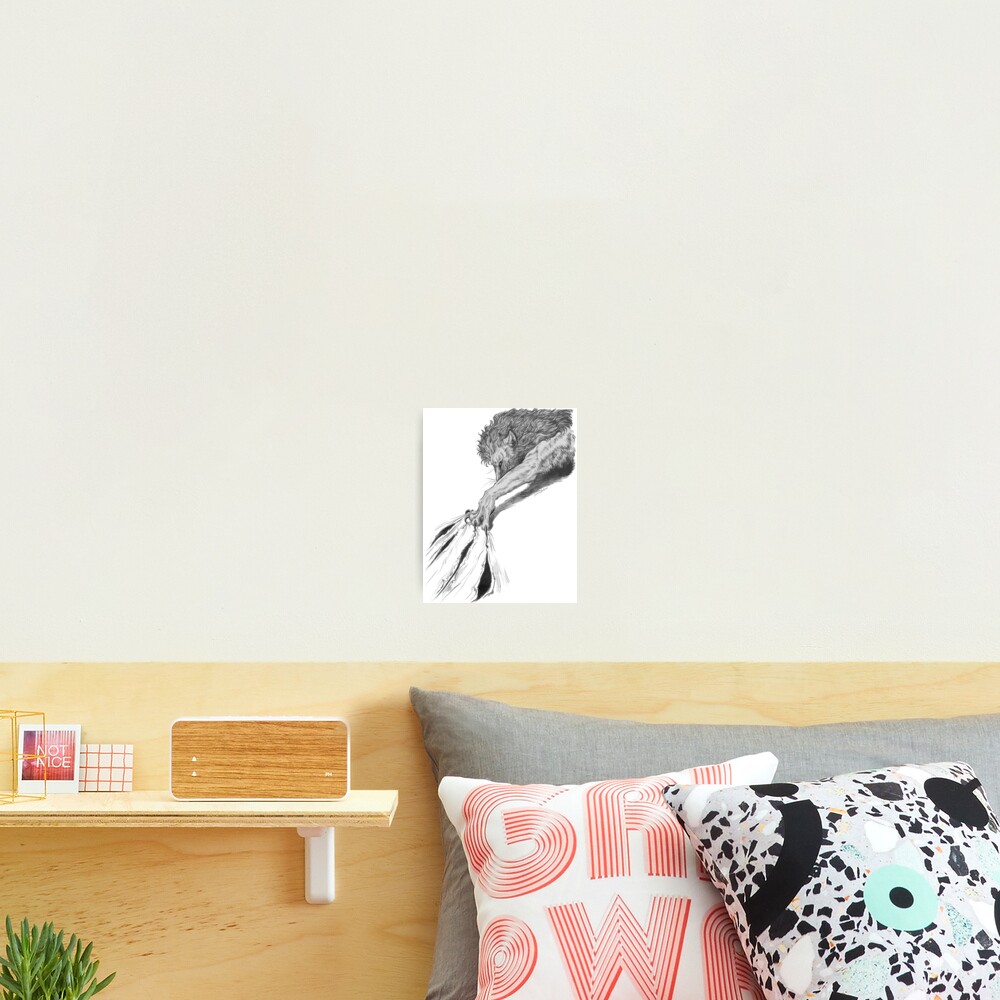 "Lion Scratch Drawing" Photographic Print by carissalapreal | Redbubble