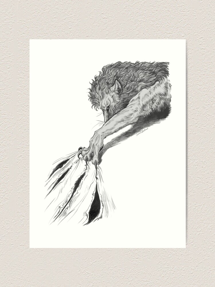 "Lion Scratch Drawing" Art Print for Sale by carissalapreal | Redbubble