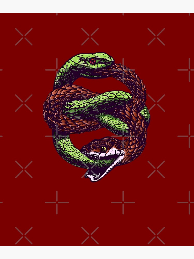 "Two Snakes Eating Each Other, Twin Universe Symbol" Poster for Sale by ...
