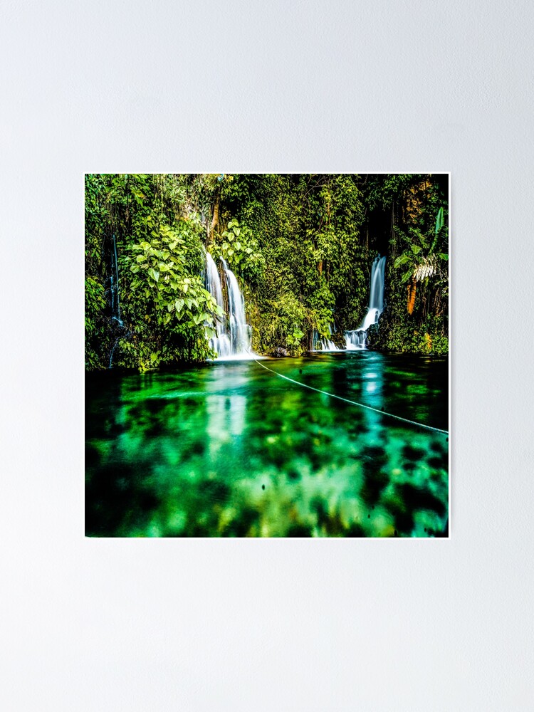 "fwc 1328 flow green leaf" Poster by fwc-usa-company | Redbubble