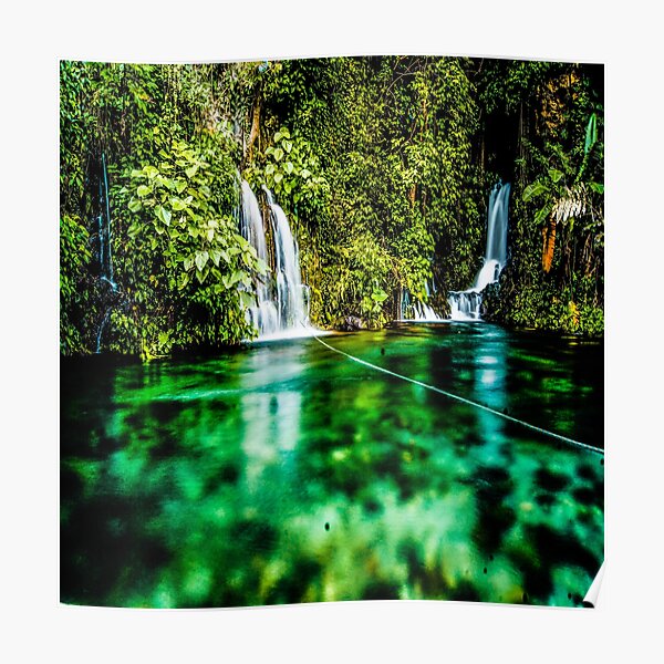 "fwc 1328 flow green leaf" Poster by fwc-usa-company | Redbubble