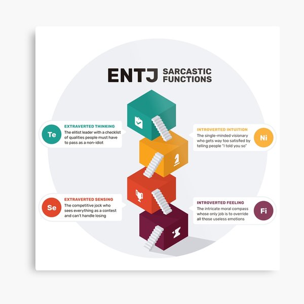 "ENTJ Sarcastic Functions" Metal Print for Sale by eilamona | Redbubble