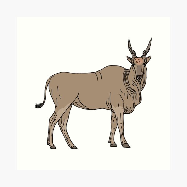 Eland Art Prints | Redbubble