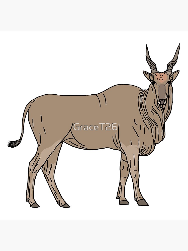 "Common Eland" Canvas Print by GraceT26 | Redbubble