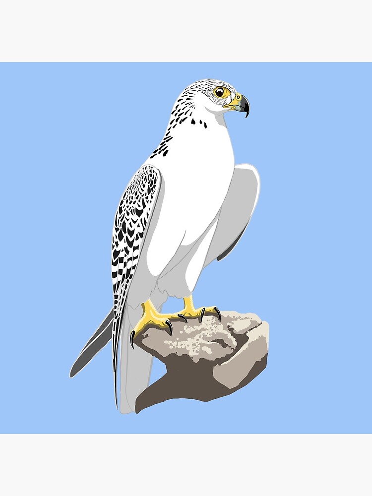 "Gyrfalcon" Poster by BennuBirdy | Redbubble