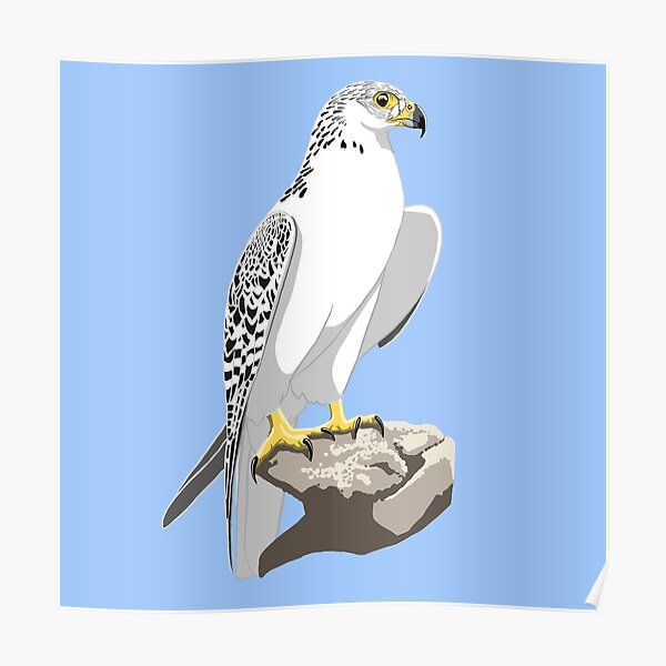 "Gyrfalcon" Poster by BennuBirdy | Redbubble