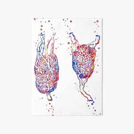 "Lymph node, the anatomical structure of the lymph node" Art Board ...