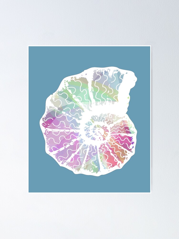"Ammonite " Poster by miniverdesigns | Redbubble