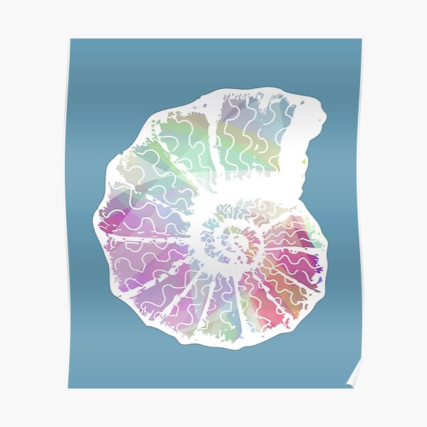 "Ammonite " Poster by miniverdesigns | Redbubble