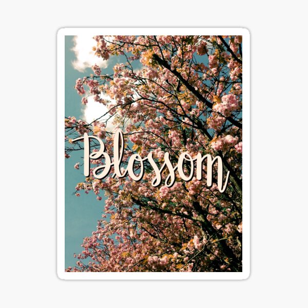 "Blossom" Sticker by Amelyne | Redbubble