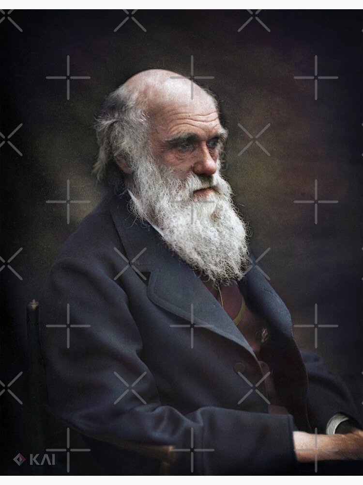 "Charles Darwin 1874 Colorized" Art Print by KAI-Studio | Redbubble