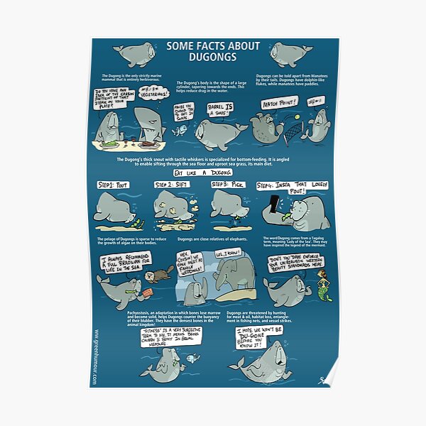 "Some Facts about Dugongs" Poster for Sale by rohanchak | Redbubble