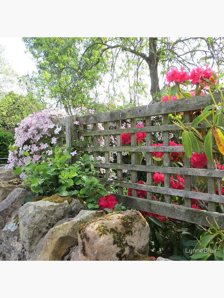 "Spring garden fence" Poster for Sale by LynneBlair | Redbubble