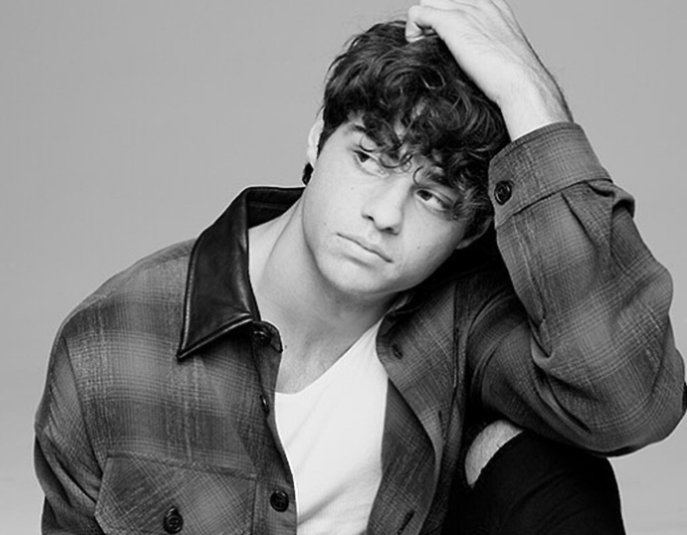 "peter kavinsky - to all the boys i've loved before - lara jean - noah ...