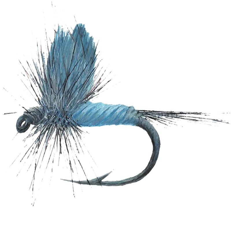 "Blue Dun Dry Fly" by garrettsgardens | Redbubble