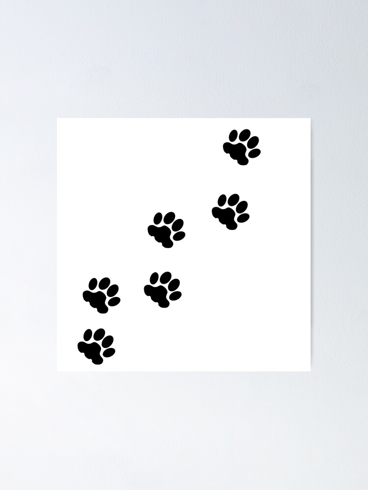 "Cat tracks, animal tracks, paw, cat paw, animal step, cute paw, cat ...