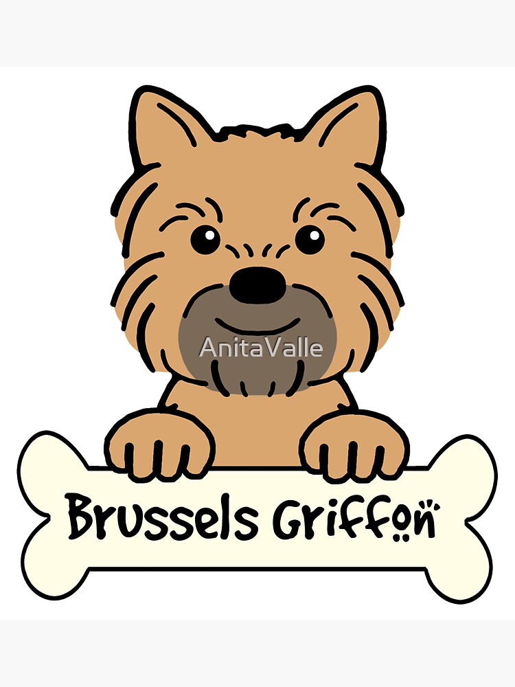 "Brussels Griffon" Sticker for Sale by AnitaValle | Redbubble