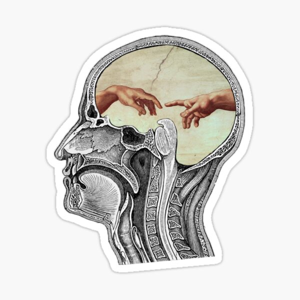 "Creation of Adam Anatomy" Sticker for Sale by saraboone98 | Redbubble
