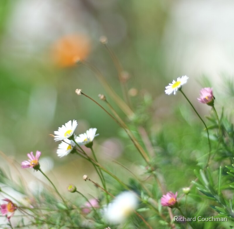 "" Faith Extolling Beauty "" by Richard Couchman | Redbubble
