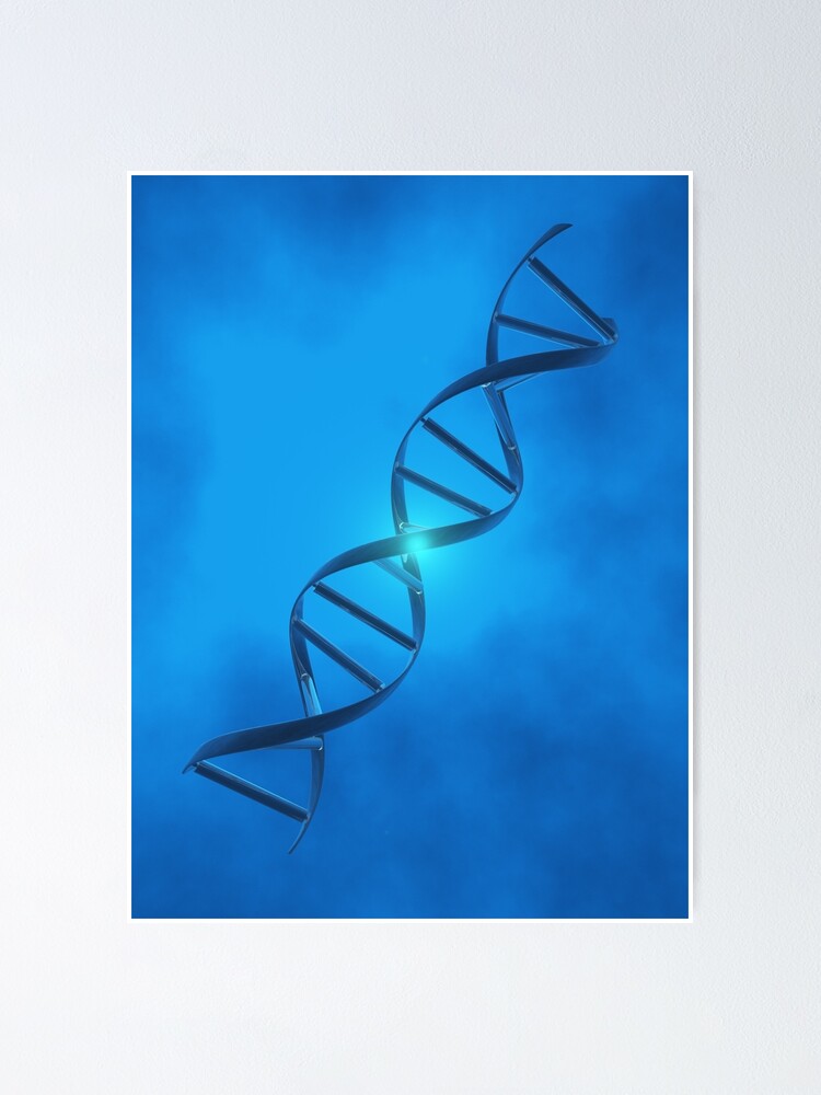 "DNA Strand" Poster for Sale by rolffimages | Redbubble