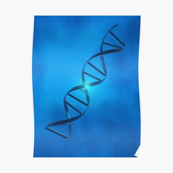 "DNA Strand" Poster for Sale by rolffimages | Redbubble