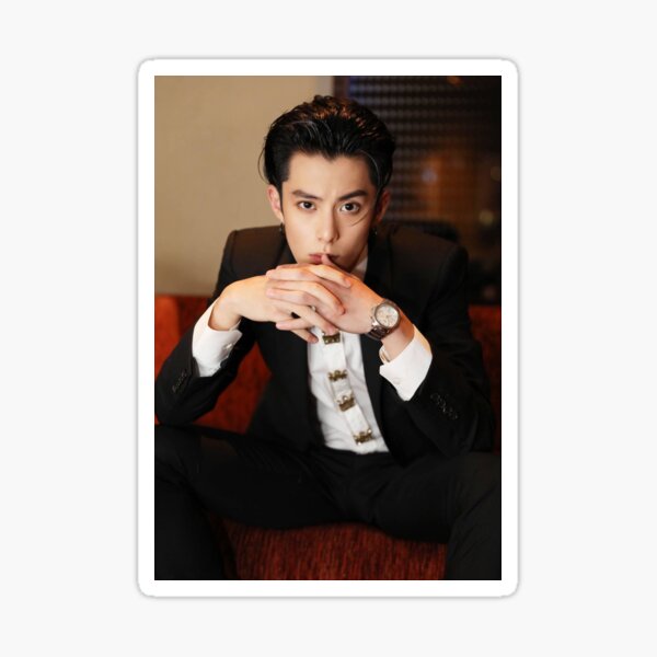 Dylan Wang Stickers | Redbubble