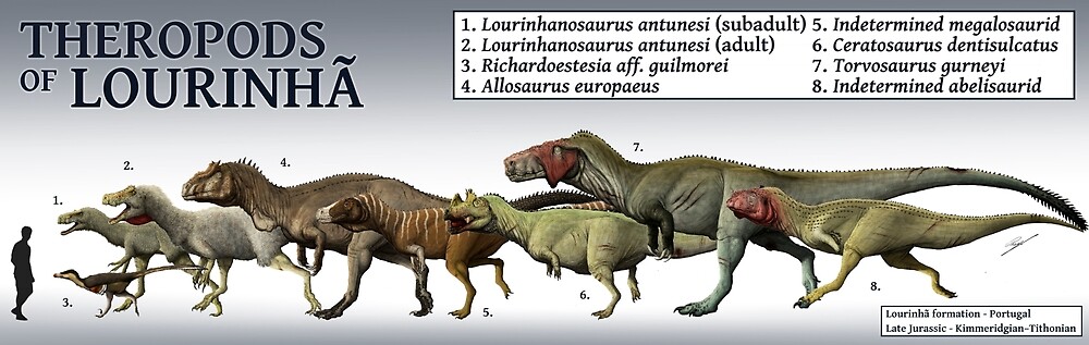 "Size chart - Theropods of the Lourinhã formation" by Not Pedro Andrade ...