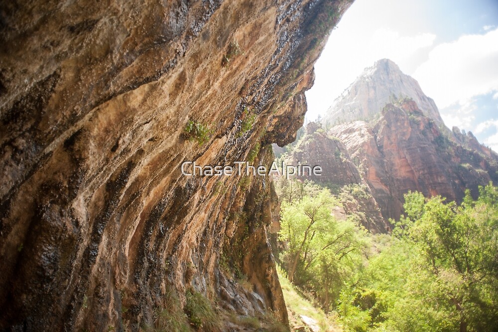 "Weeping Rock, Zion National Park " by ChaseTheAlpine | Redbubble