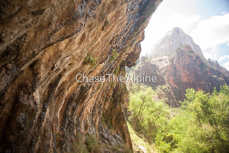 "Weeping Rock, Zion National Park " by ChaseTheAlpine | Redbubble