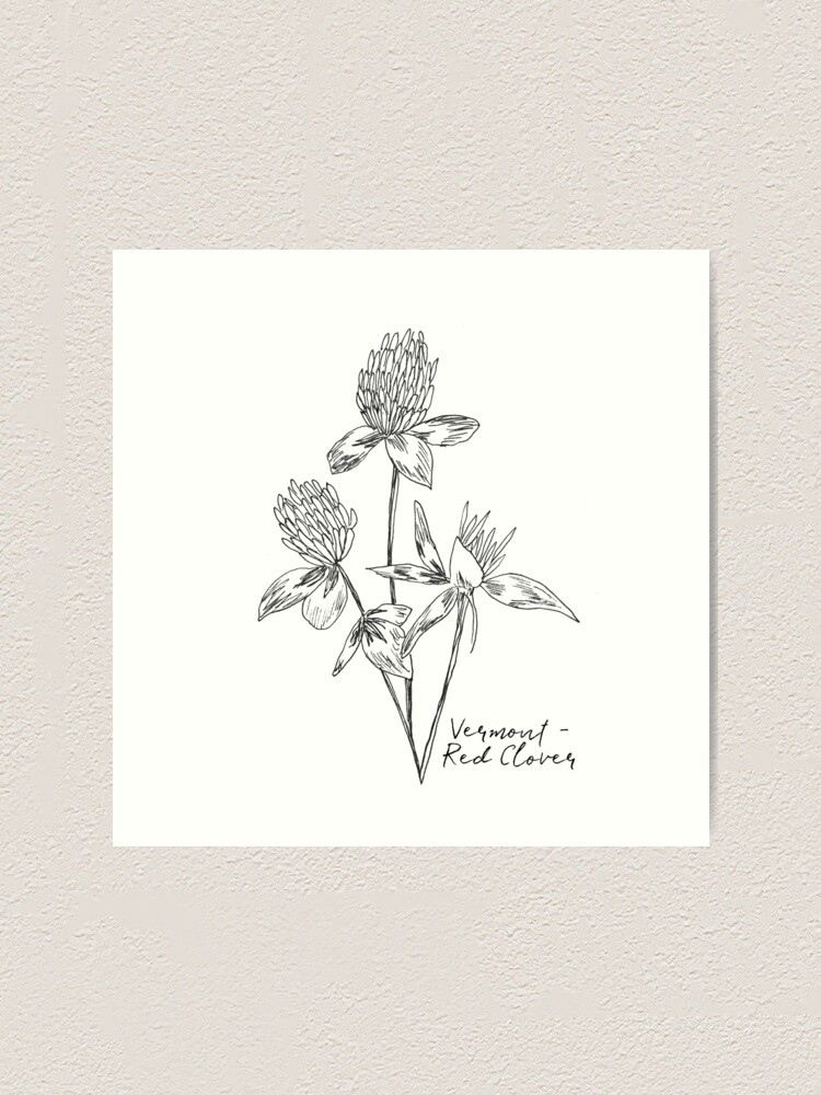 "Red Clover Vermont State Flower By Journey Home Made" Art Print for ...