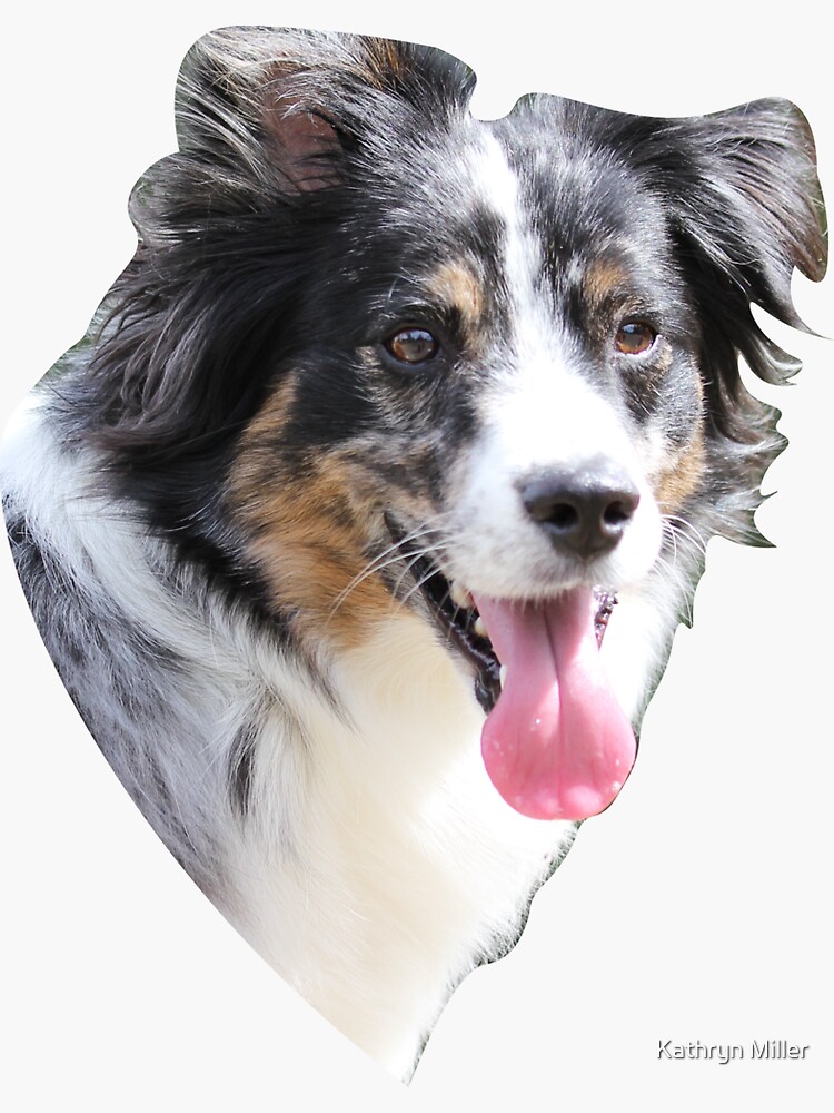 "Australian Sheppard " Sticker by Nastee | Redbubble