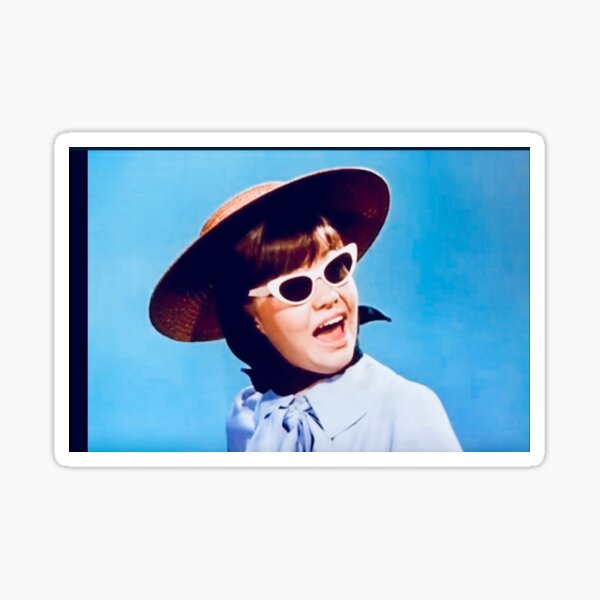 "Sally Field is Gidget" Sticker for Sale by Jenniferkate72 | Redbubble