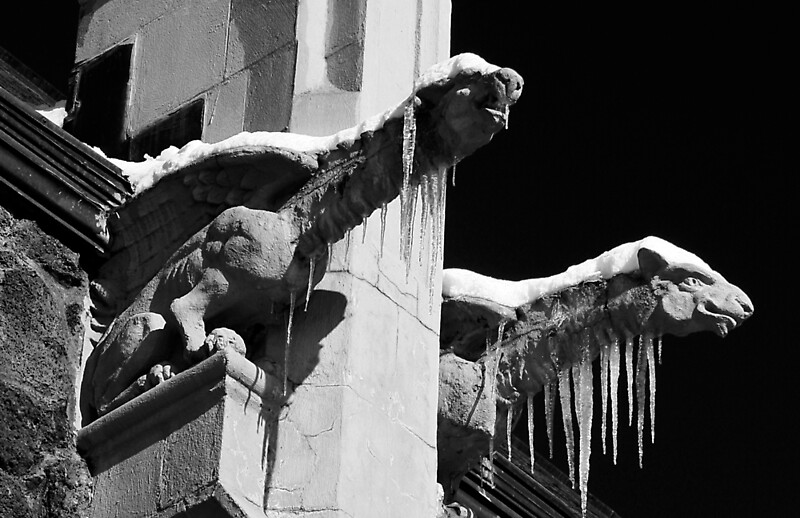 "Frozen gargoyles" by Rees Gordon | Redbubble