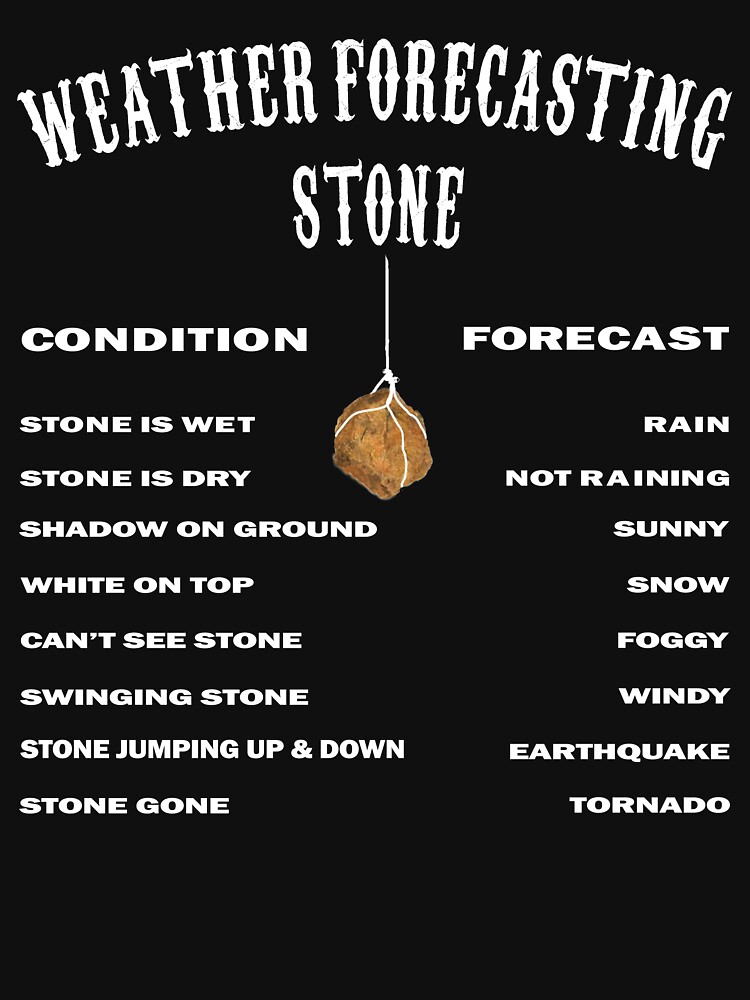 "Funny Weather Forecasting Meteorology Weatherman Shirt Gift" T-shirt ...