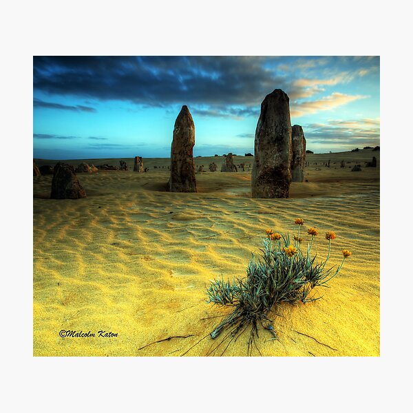 Katon Gifts & Merchandise for Sale | Redbubble