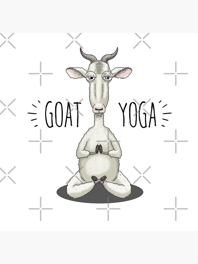 "GOAT YOGA - Meditating Goat" Photographic Print by jitterfly | Redbubble