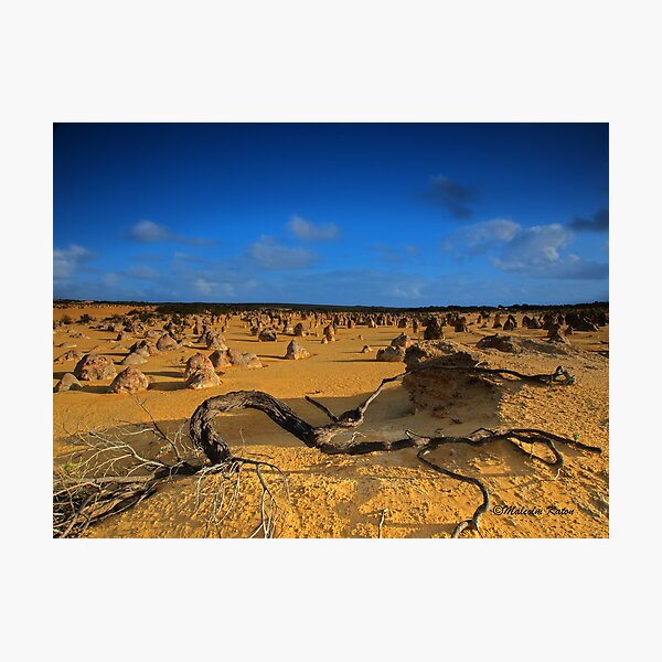 Katon Gifts & Merchandise for Sale | Redbubble