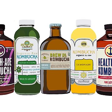 "Kombucha" Sticker for Sale by rachelszo | Redbubble