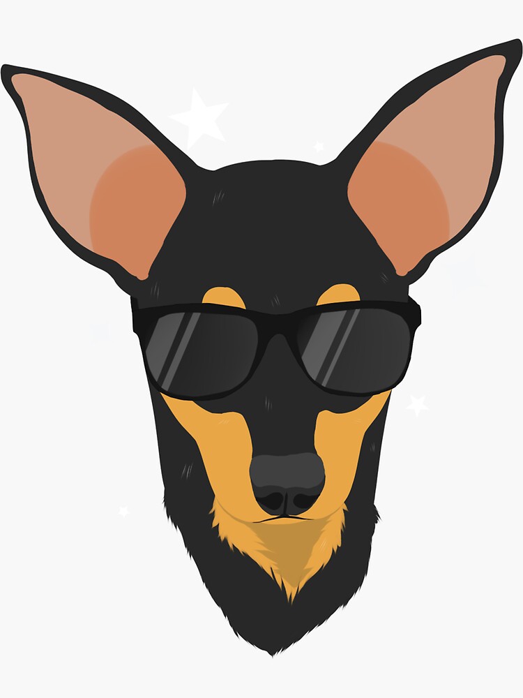 "Cool Miniature Pinscher 2" Sticker for Sale by atheias | Redbubble