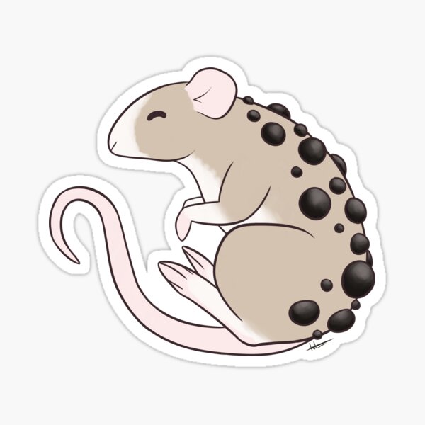 "Bubble Tea Rat " Sticker by turbodrawn | Redbubble
