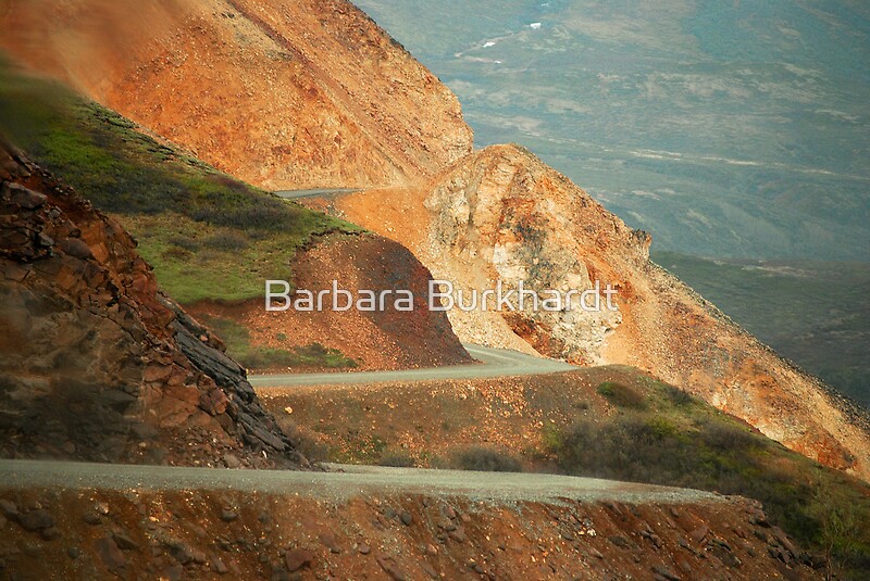"Polychrome Pass ~ Denali National Park Alaska" by Barbara Burkhardt ...