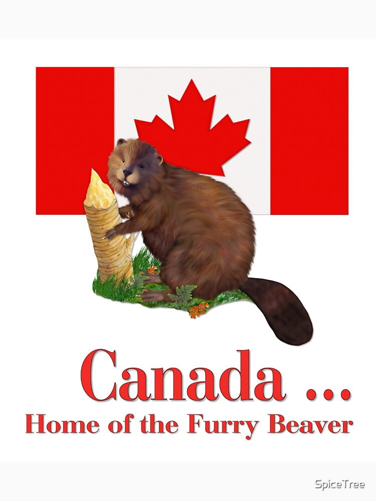 "Furry Canada" T-shirt for Sale by SpiceTree | Redbubble | animal t ...