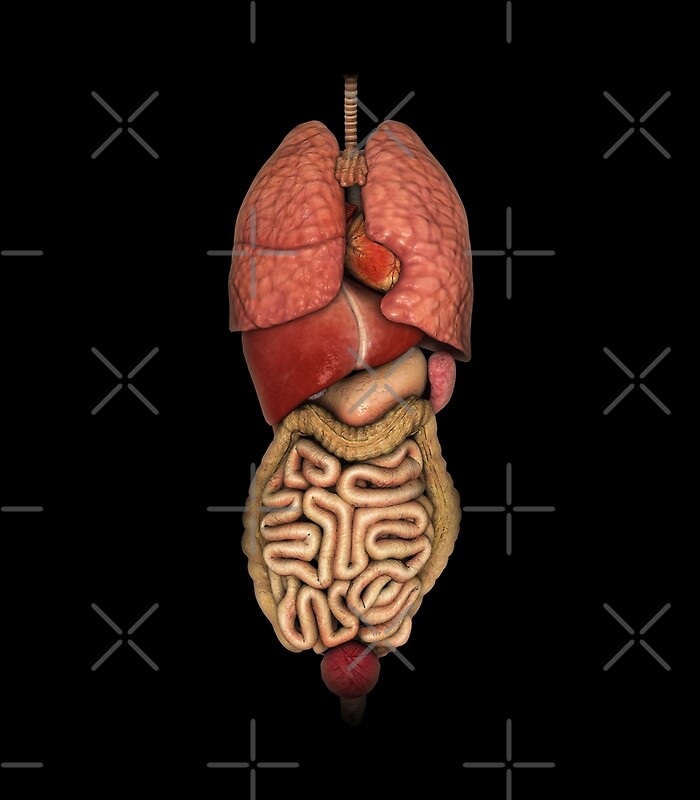 "Human entrails" by dima-v | Redbubble